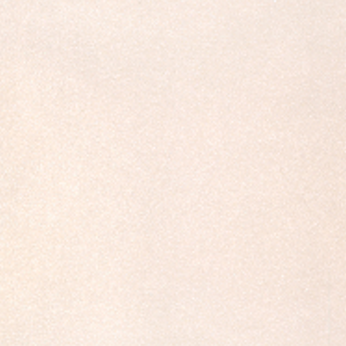 8815 – ラーソン・ジュール・ニッポン株式会社